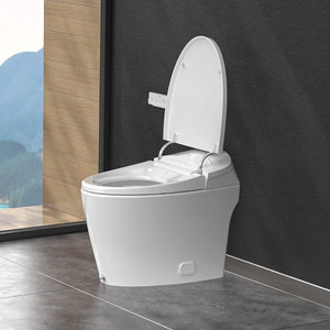 Bio Bidet Discovery DLX Bidet Toilet | In Stock and Free Shipping ...